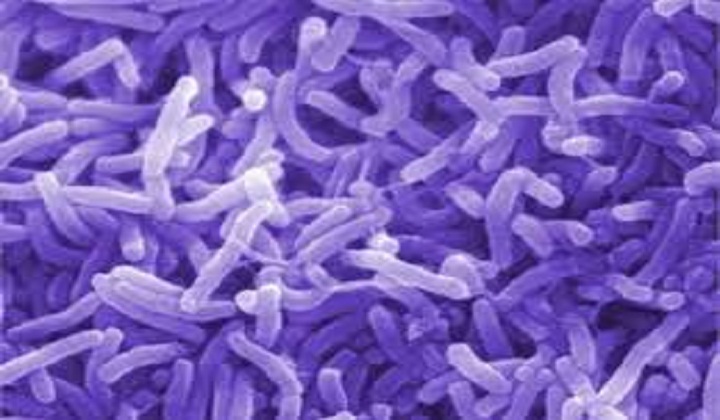 Why cholera is more deadly for people with type O blood