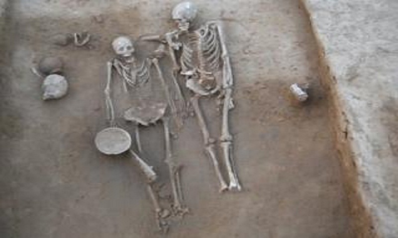 Harappa grave of ancient 'couple' revels secrets