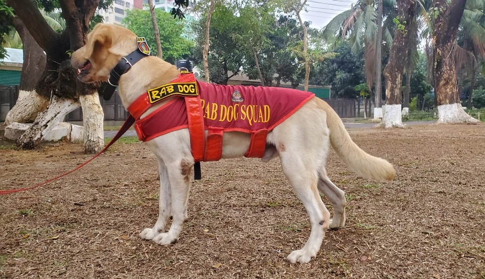 Dog gets RAB DG Award for its heroic performance
