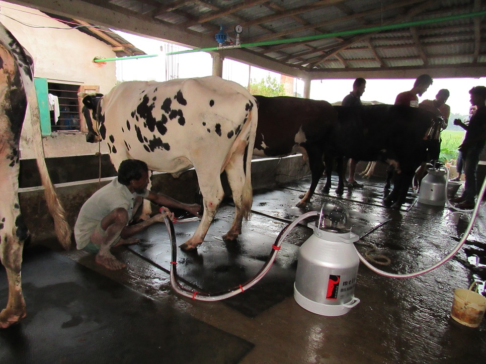 Dairy farmers get modern agri equipment in Char Fasson