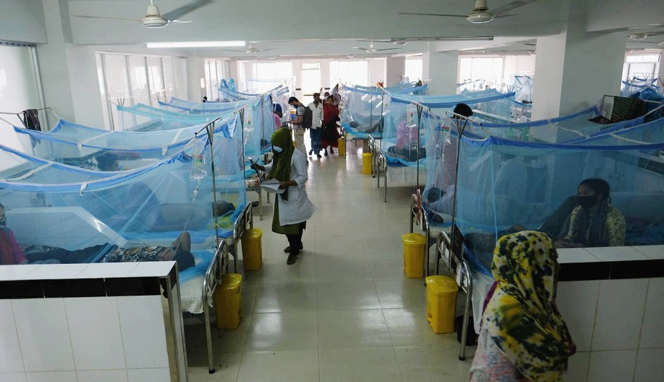 Most hospitalised dengue patients from Dhaka’s 11 areas
