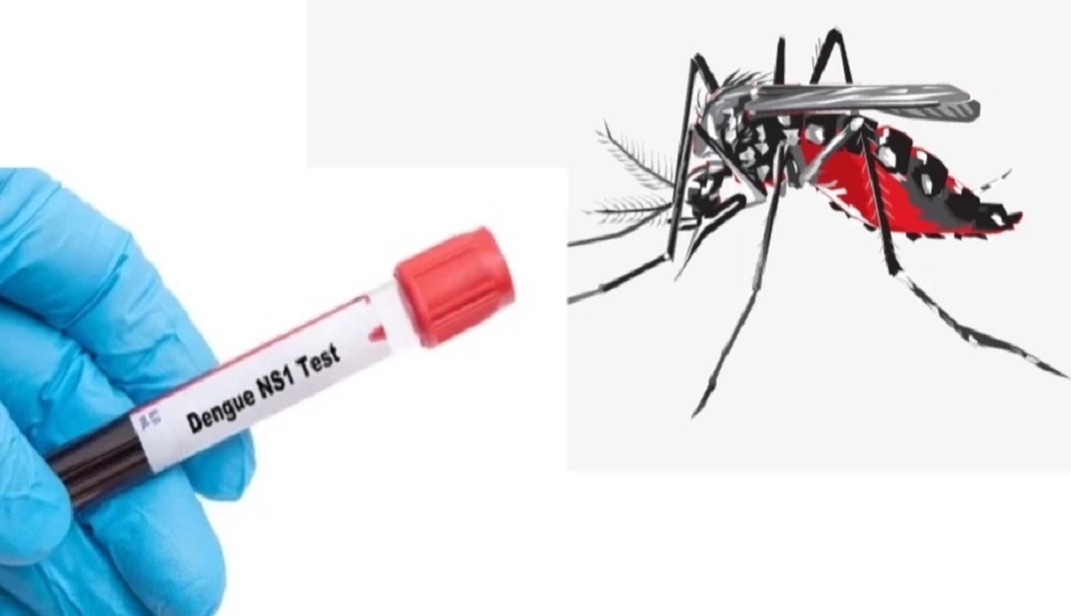 3 DSCC hospitals offer free dengue test from today