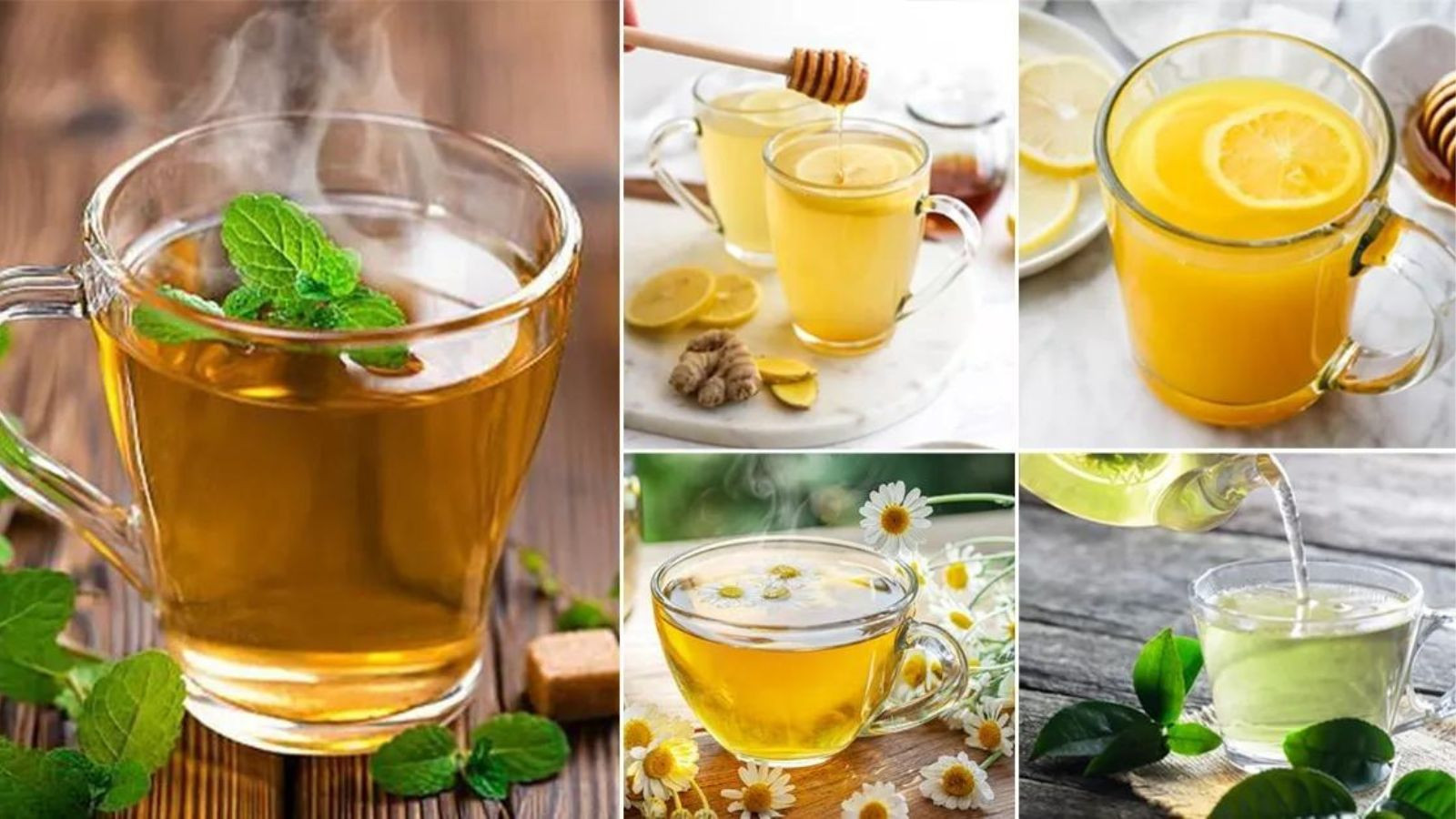 10 Best Winter Teas to Fight Cold and Flu