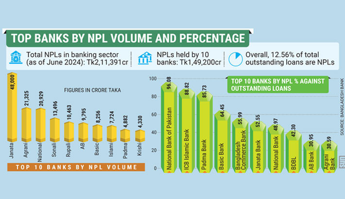 Ten banks hold 71% of total NPLs