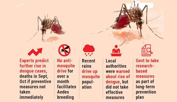Fresh dengue surge makes people worried