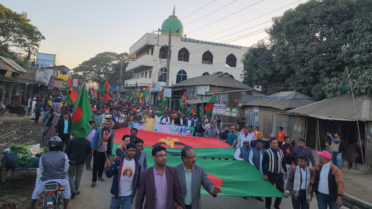BNP celebrates Victory Day with colourful rally in Haluaghat