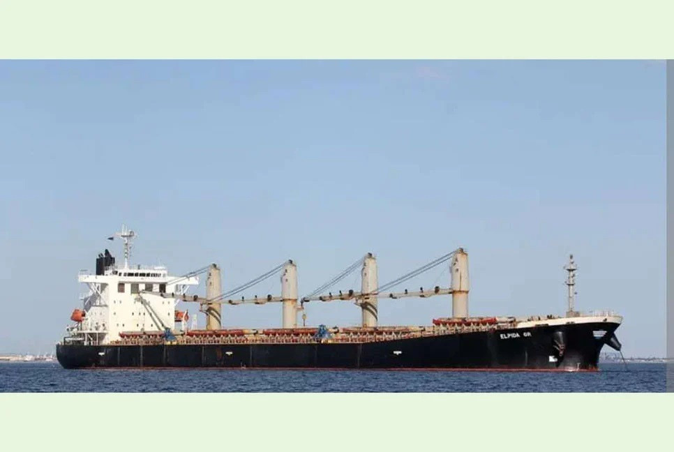 Over 50 thousand tonnes of wheat arrives from Argentina