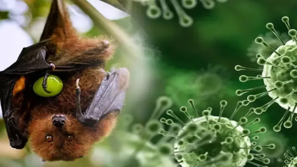 World's first Phase II Nipah virus vaccine trial launched