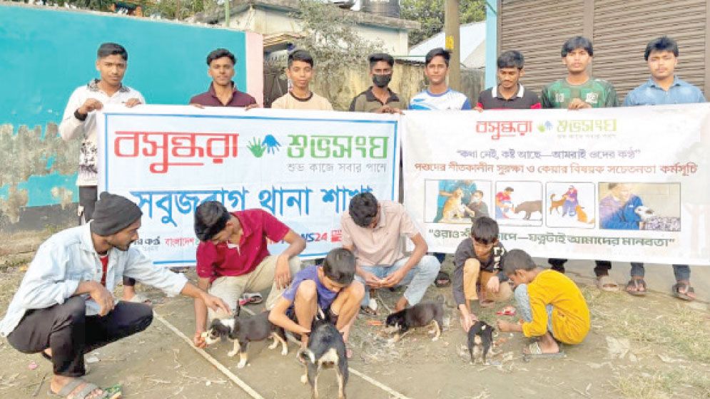 Animal welfare campaign to protect stray animals