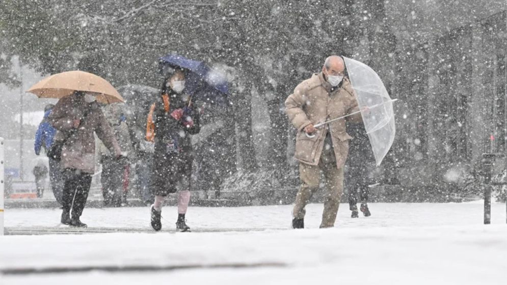 Death toll from heavy snowfall in Japan rises to 46