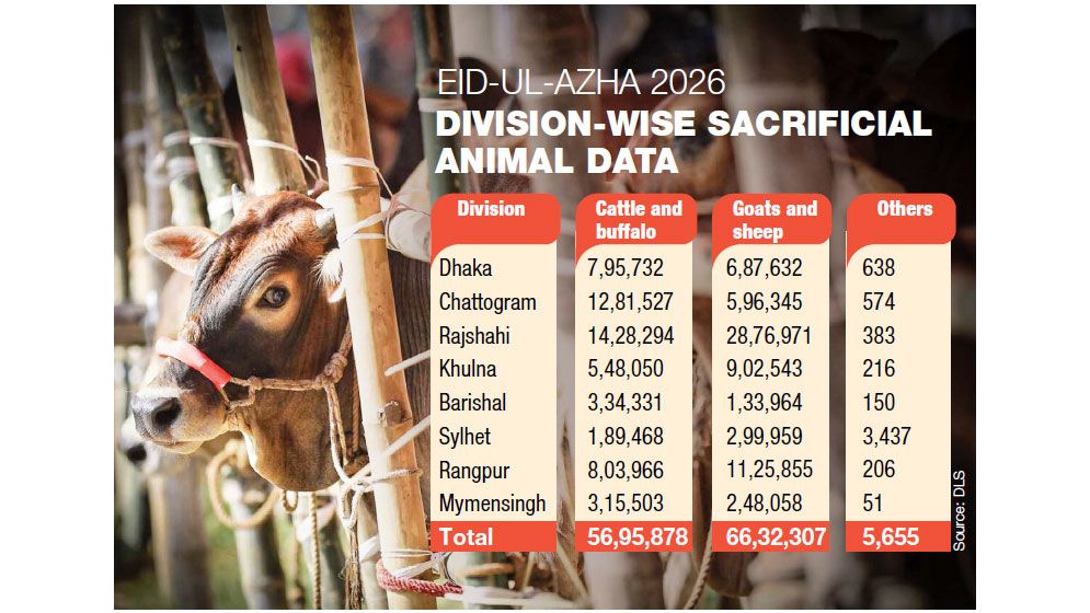 Farmers, traders ready to hit cattle markets across the country for Eid ...