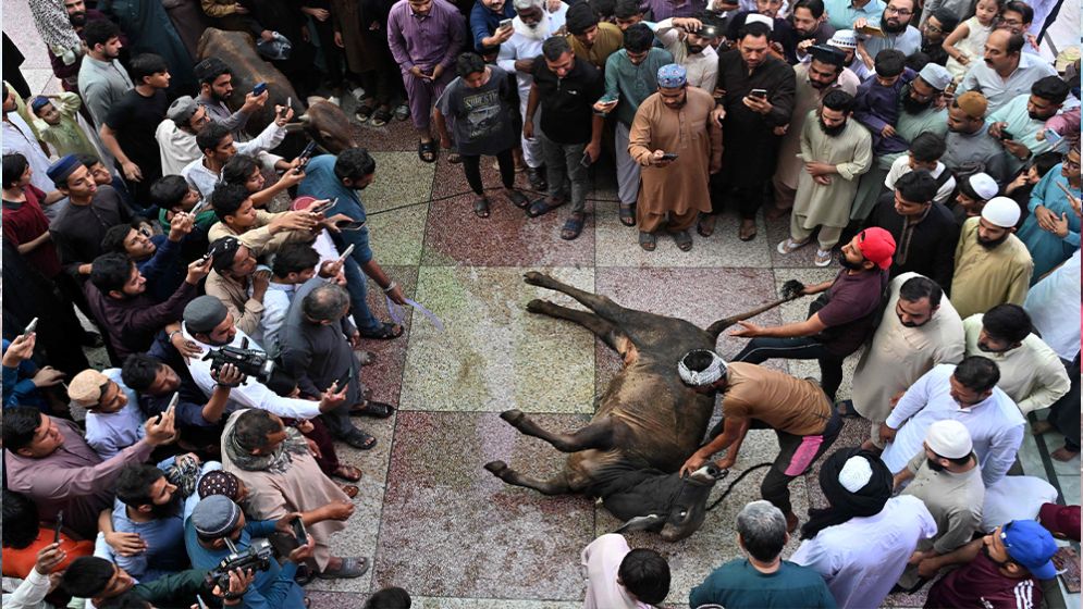 Eid-ul-Azha being celebrated in Pakistan with zeal, spiritual fervour