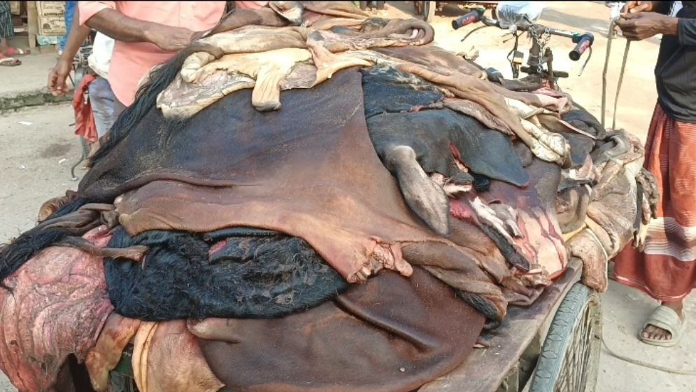 Rawhide prices fall despite govt rate hike