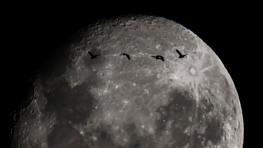Blue Moon 2026: Witness the Full Moon tonight