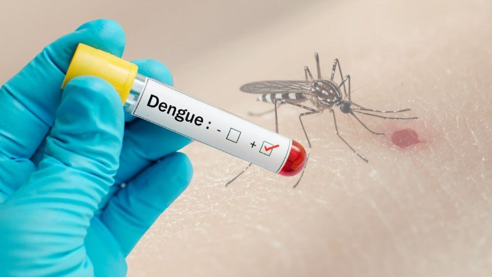 Dengue claims a life with 110 hospitalisations in 24hrs