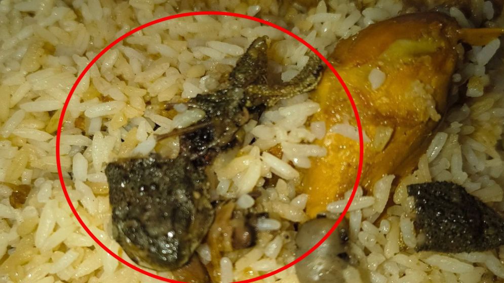 Frog found inside ‘morog polao’ packet in Kurigram