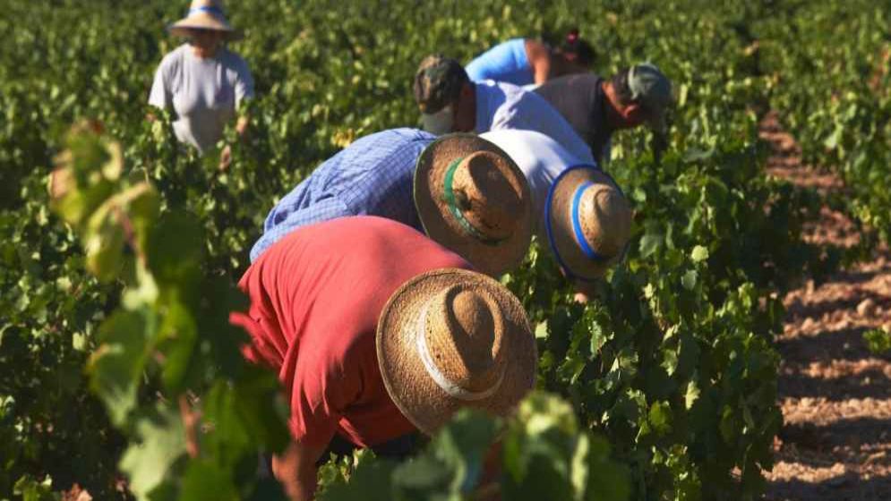 Can Spain's regularisation process help tackle labor exploitation?